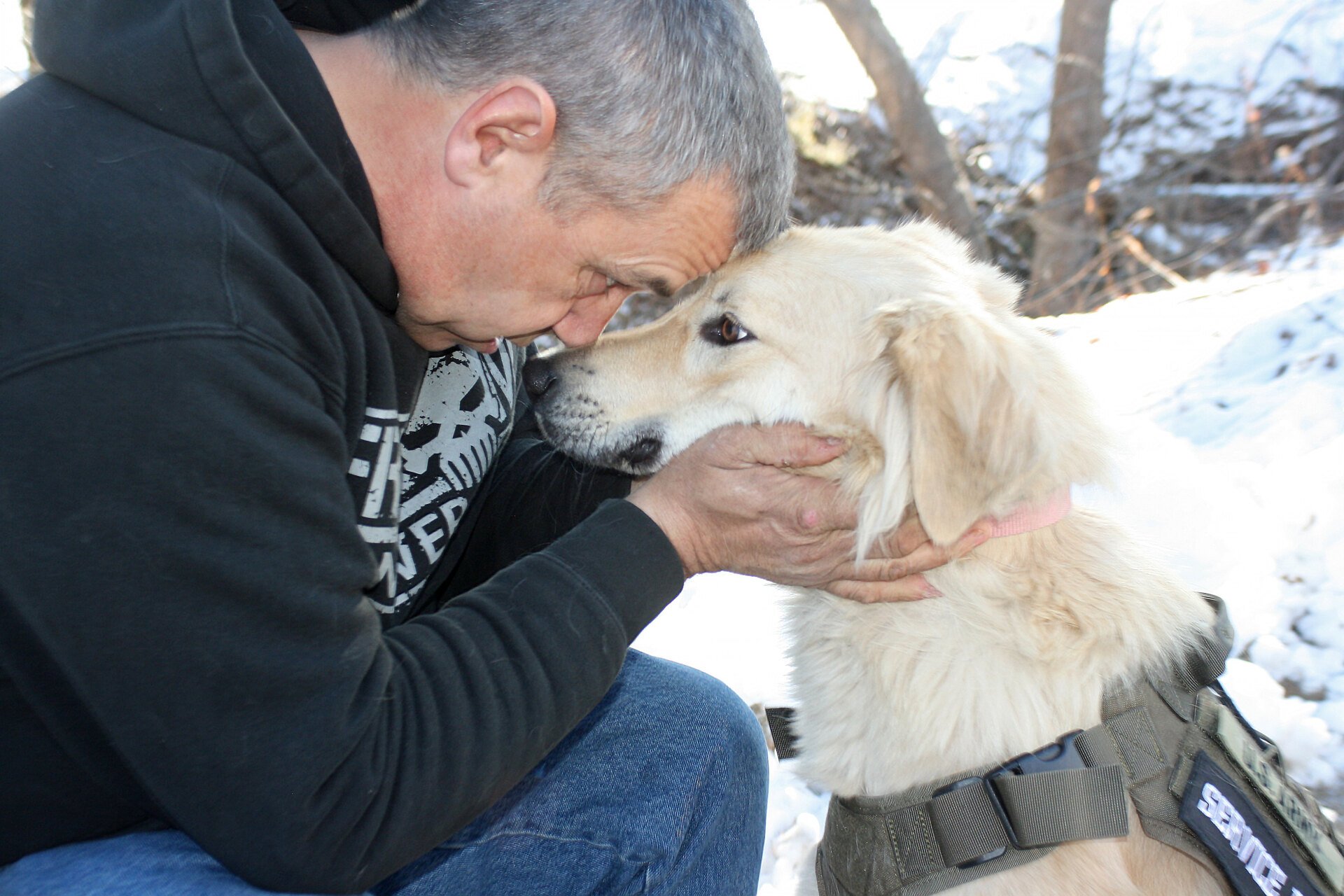Maine Paws For Veterans service-related PTSD Dog Training