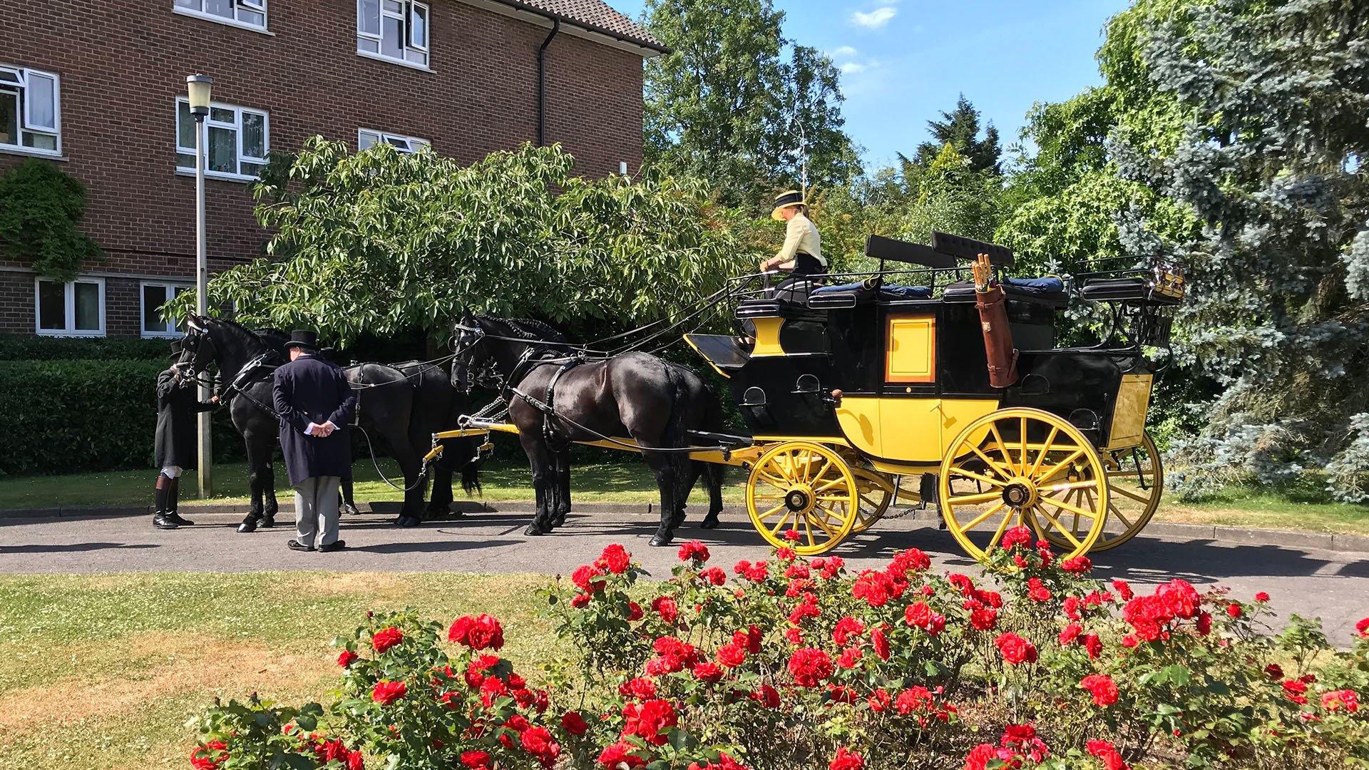 Horse & Carriage Gallery | Regency Horse & Carriage Masters