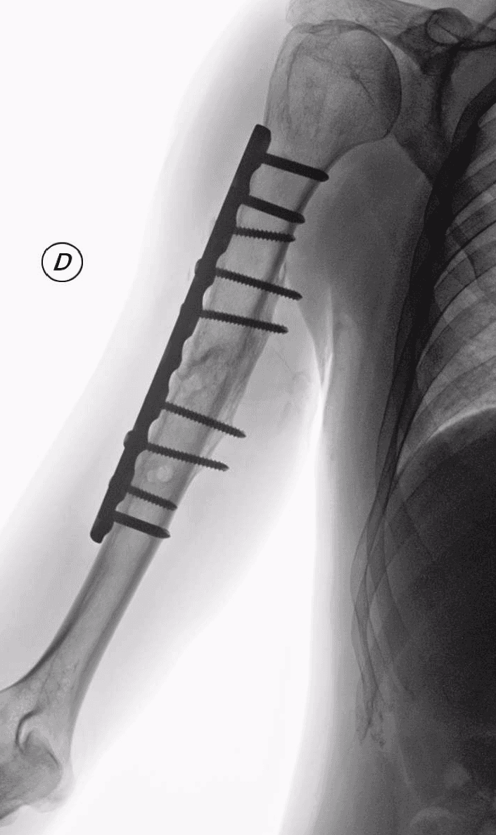Ortopedia - Ravenna - Osteolab
