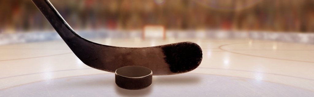 About | Ice Castle Arena | Ice Hockey & Figure Skating