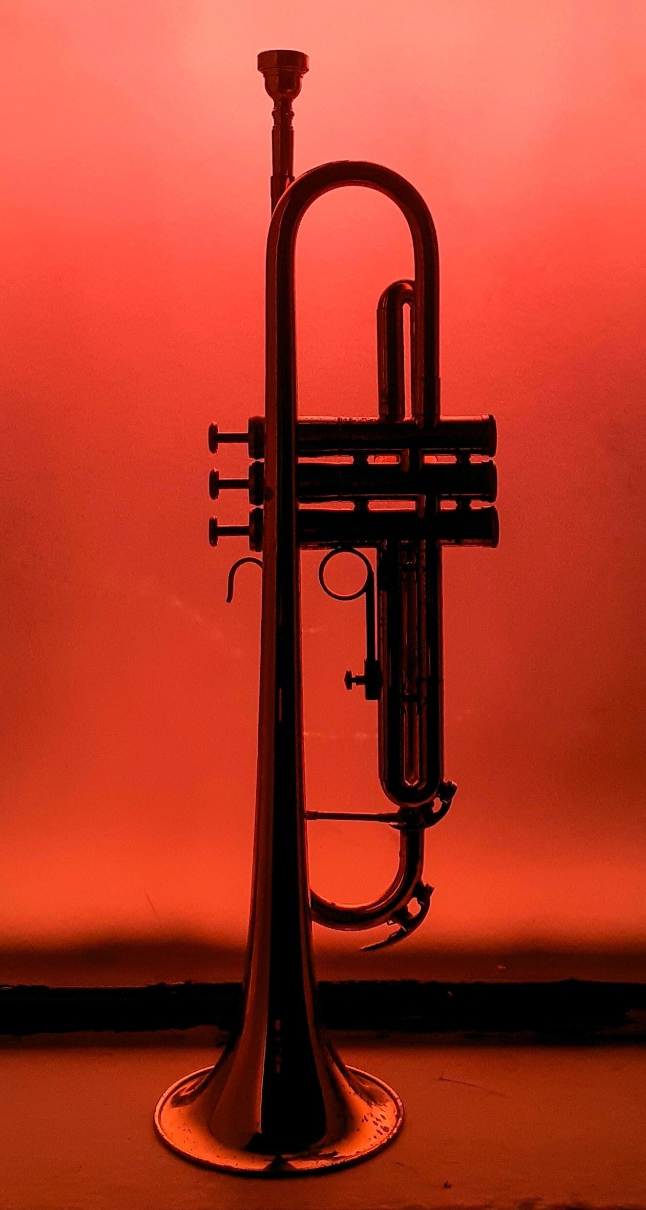 Blowing My Own Trumpet