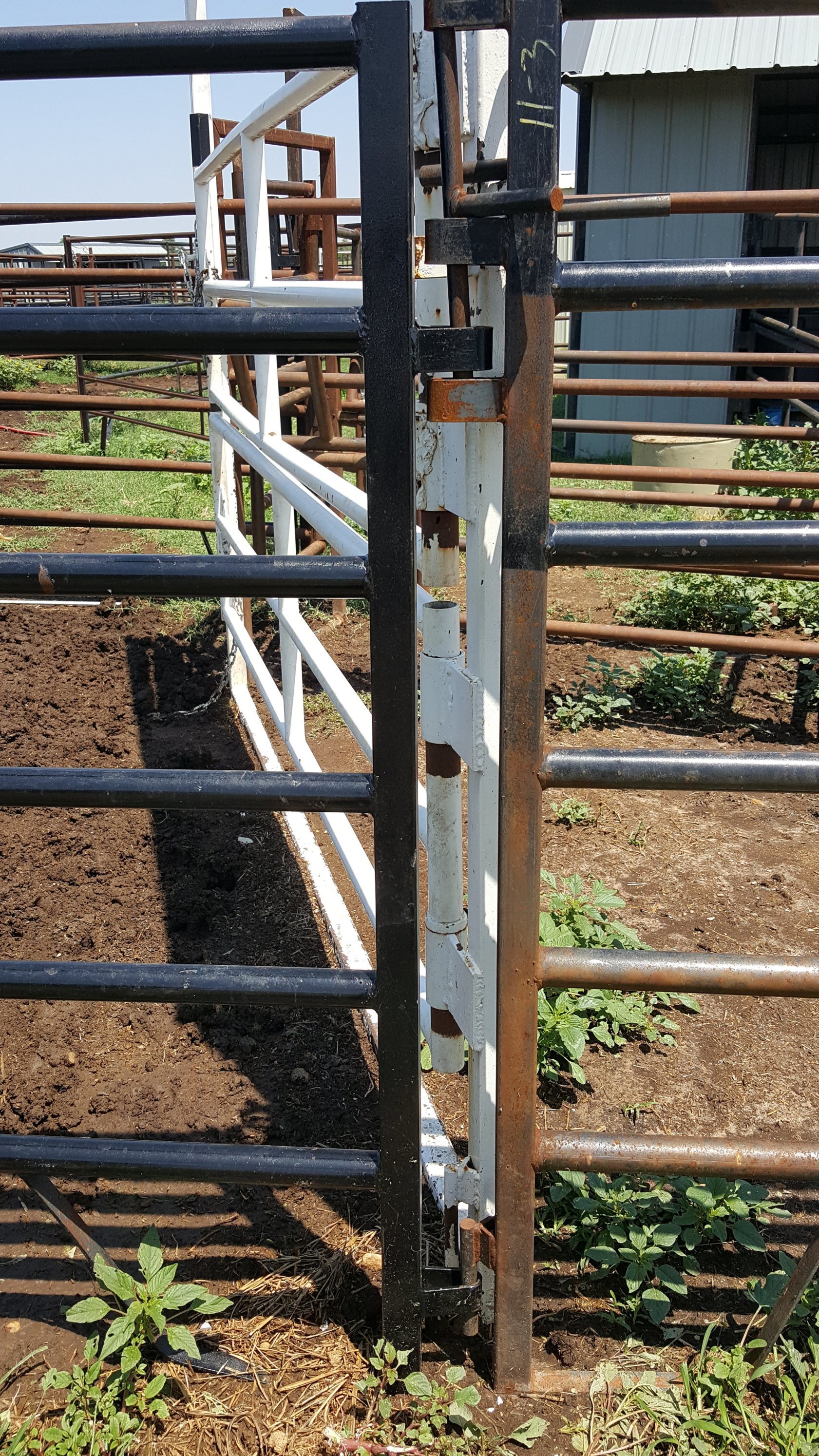 Portable Livestock Panels