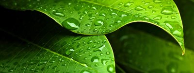 Jenkins Funeral Home | Newton, NC