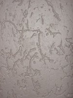 Cement Rendering Services in Brisbane | Texture Coating QLD Pty Ltd