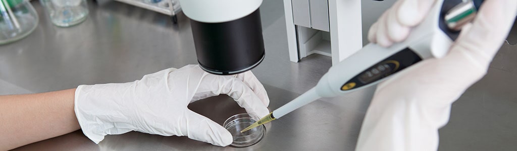Laboratorios Castro - Estudios de Laboratorio Clínico en Av. Abraham ...