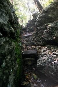 Redbud Valley Trails