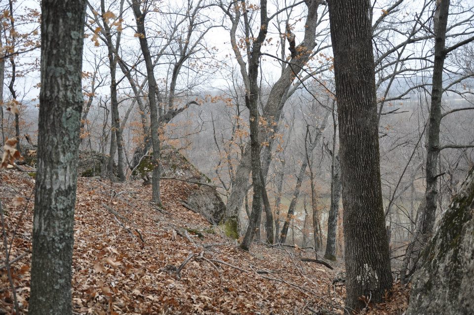 Redbud Valley Preserve