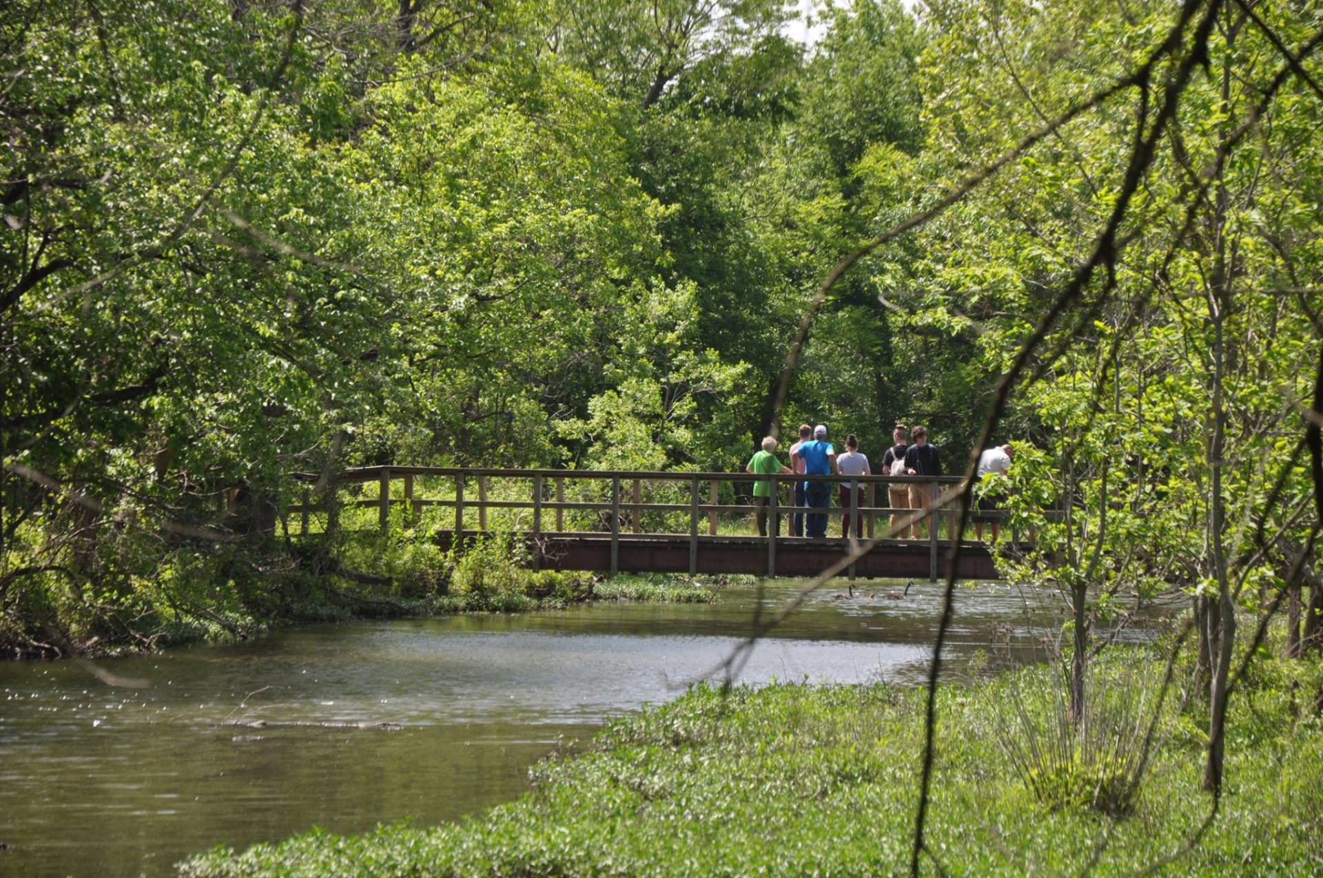 Oxley Nature Center Trails