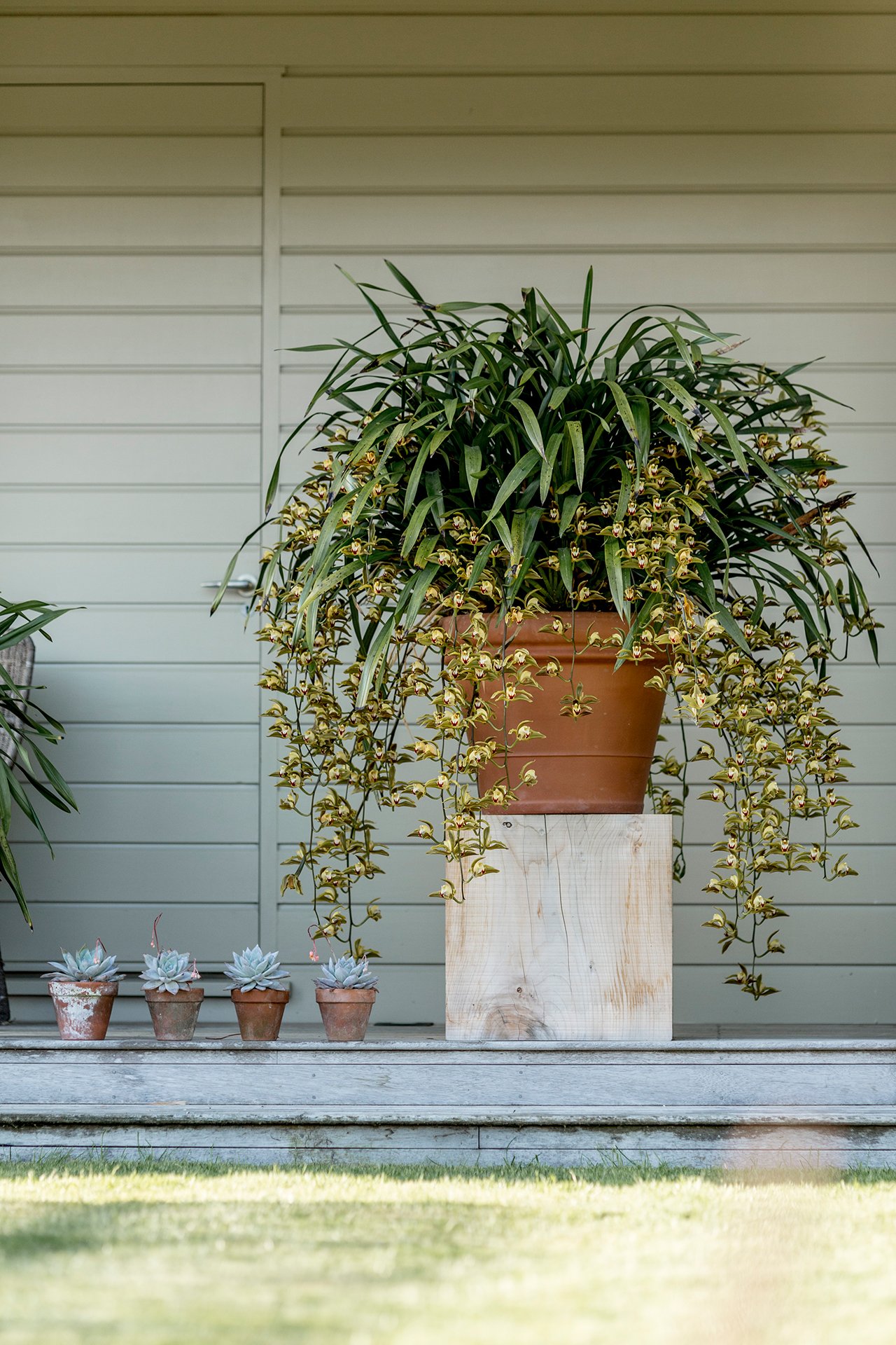Welton House Gardens | Marlborough, New Zealand | Gallery