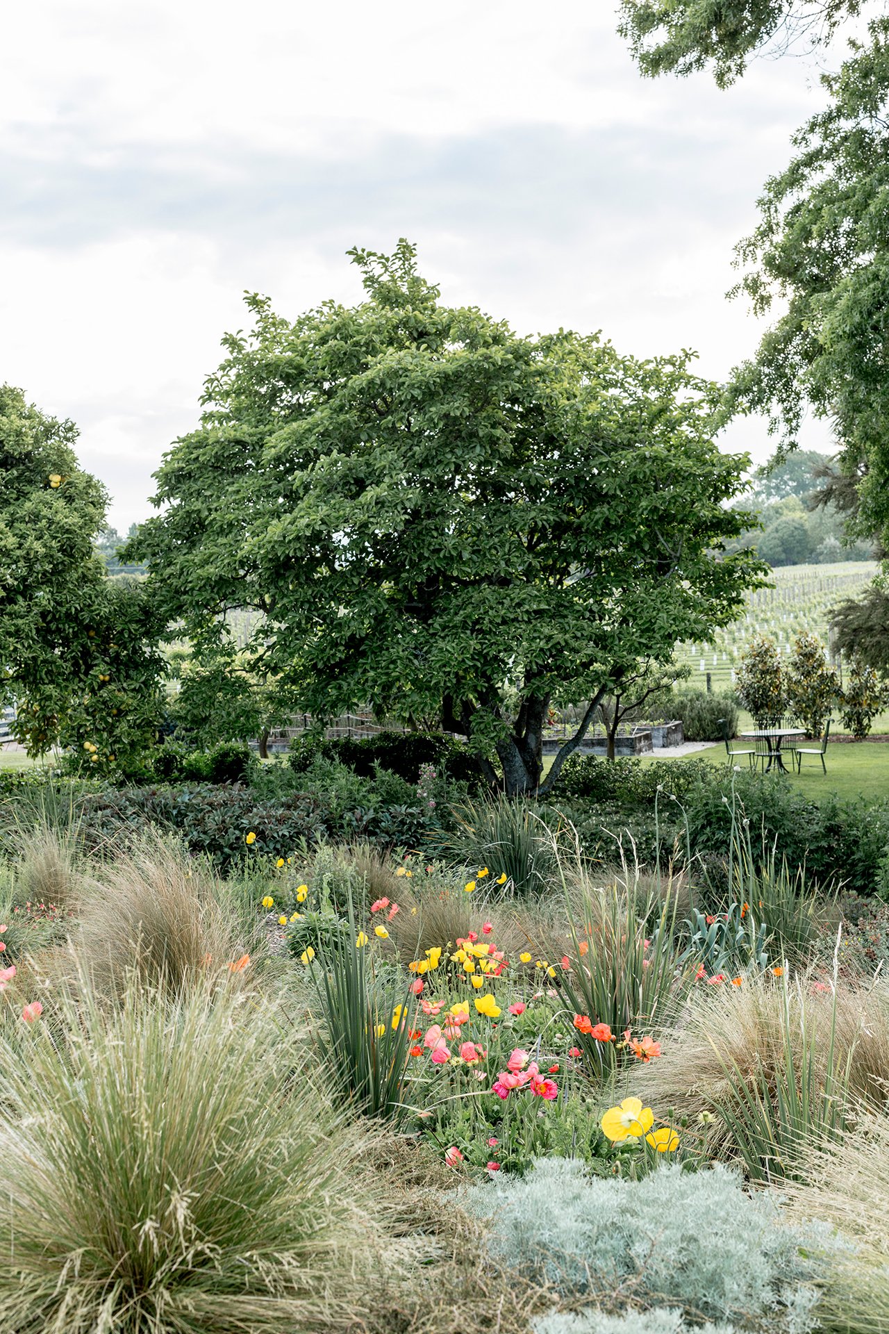 Welton House Gardens | Marlborough, New Zealand | Gallery