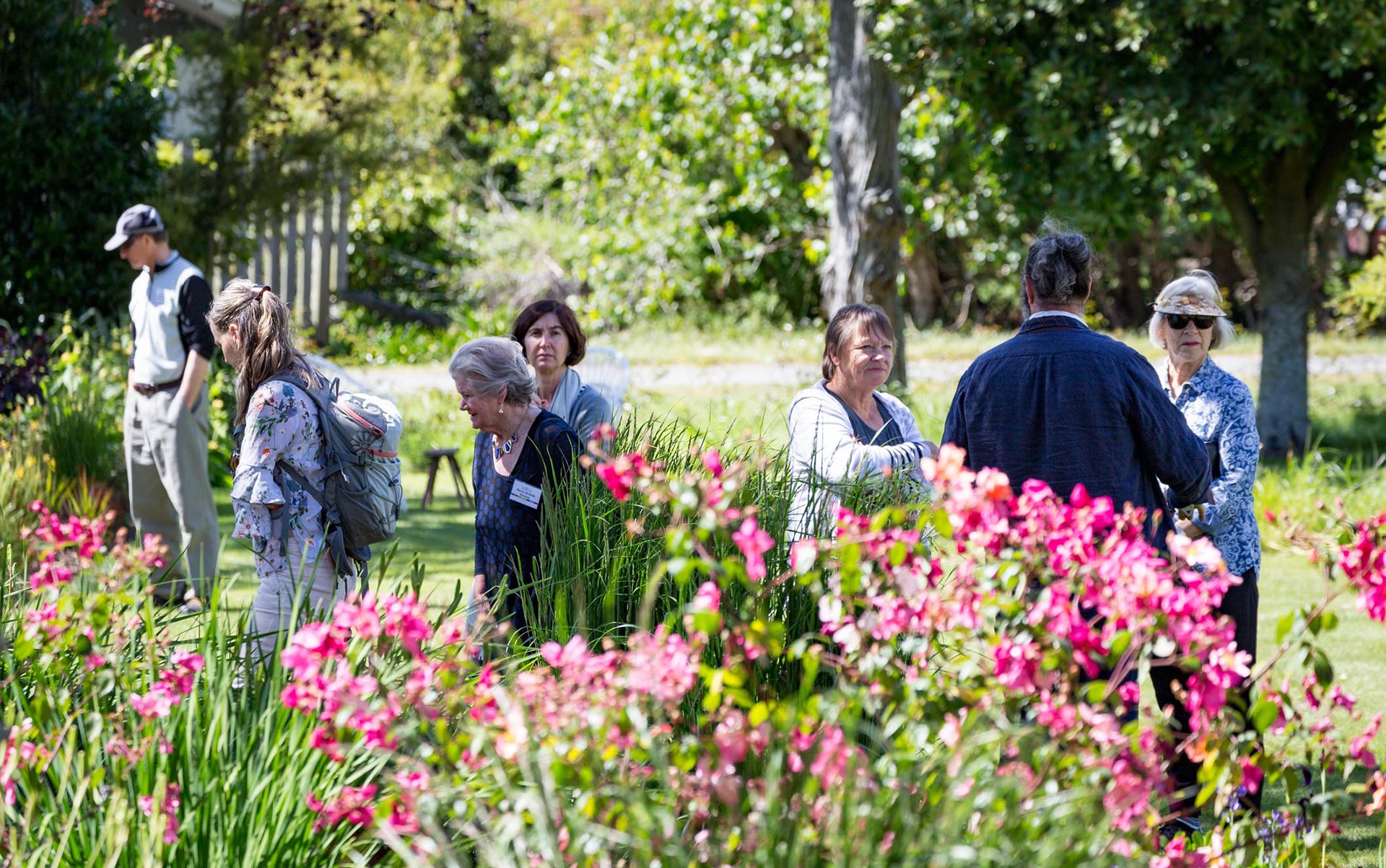 Welton House Gardens | Marlborough, New Zealand | Gallery