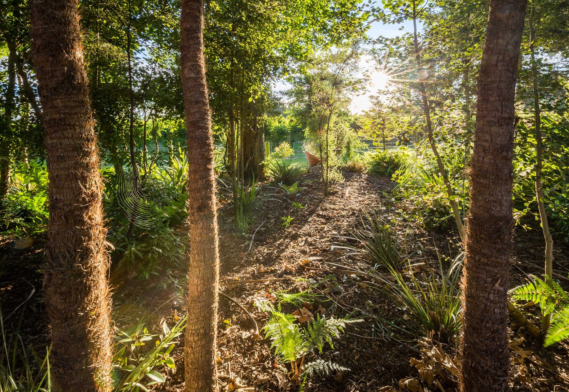 Welton House Gardens | Marlborough, New Zealand | Gallery