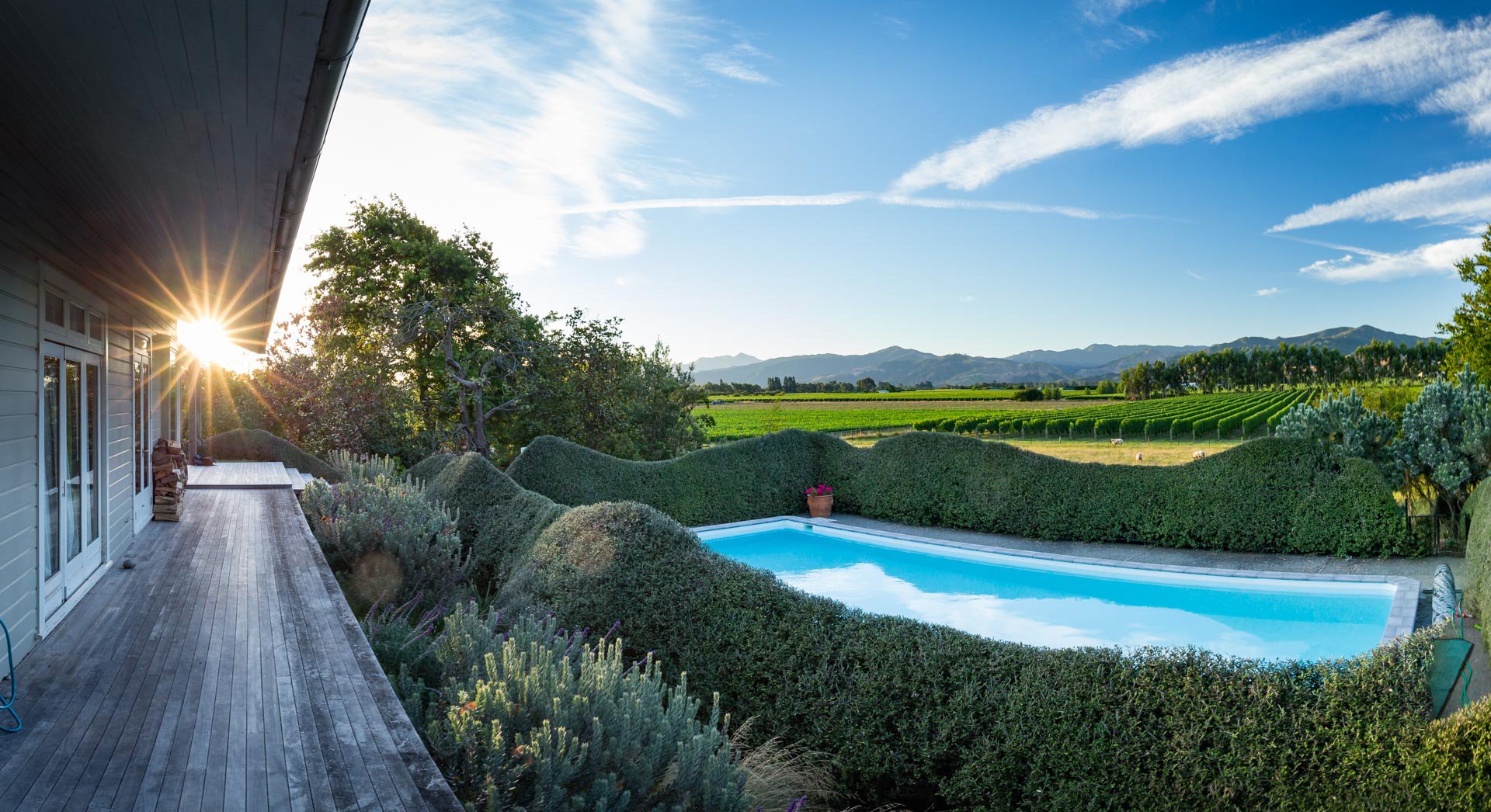 Welton House Gardens | Marlborough, New Zealand | Gallery