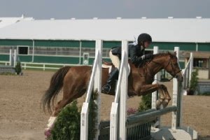 Home - Beaverwood Farm