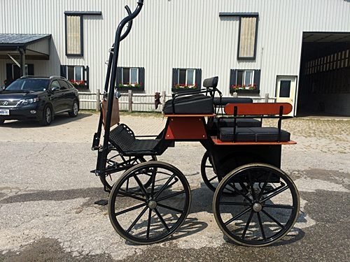 Home - Beaverwood Farm