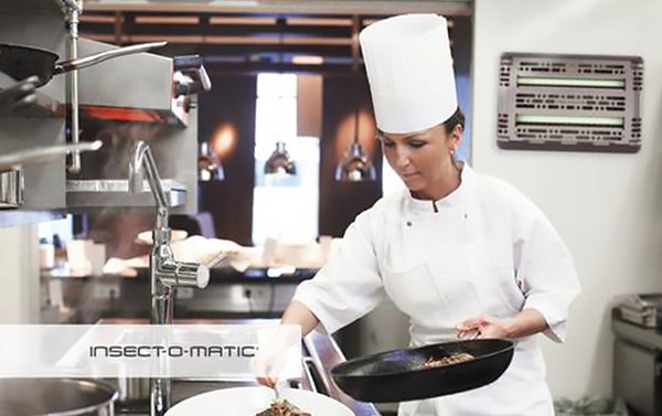 EDGE Glueboard Fly Killer | Infiniti LED Flylight Units | Pura Air