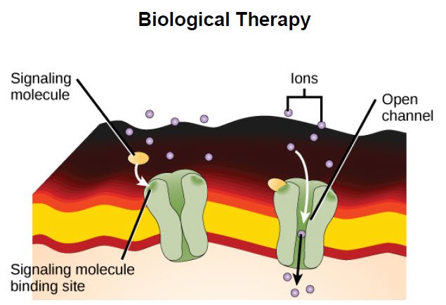 Inflammation and the Healing Process