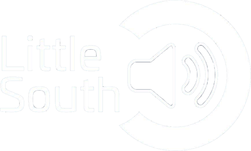 Pink Wig 'Breastival' 10th Anniversary