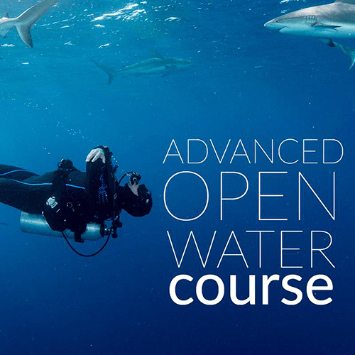 PADI Online SCUBA Certification Course | Scubaland Adventures