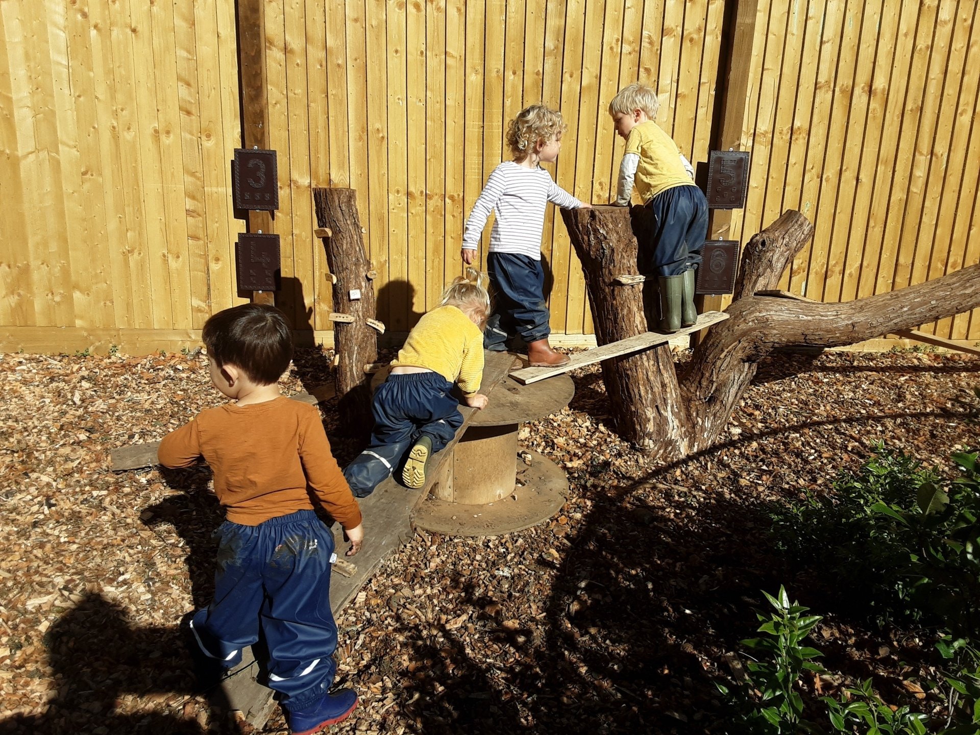 CLASSROOMS | TALL TREES KINDERGARTEN