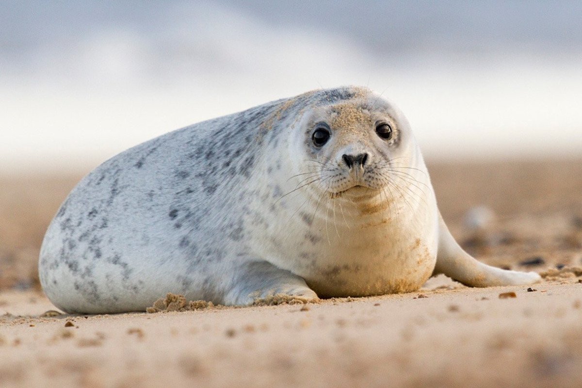 Explore the Lizard | Porthleven and Lizard Holidays