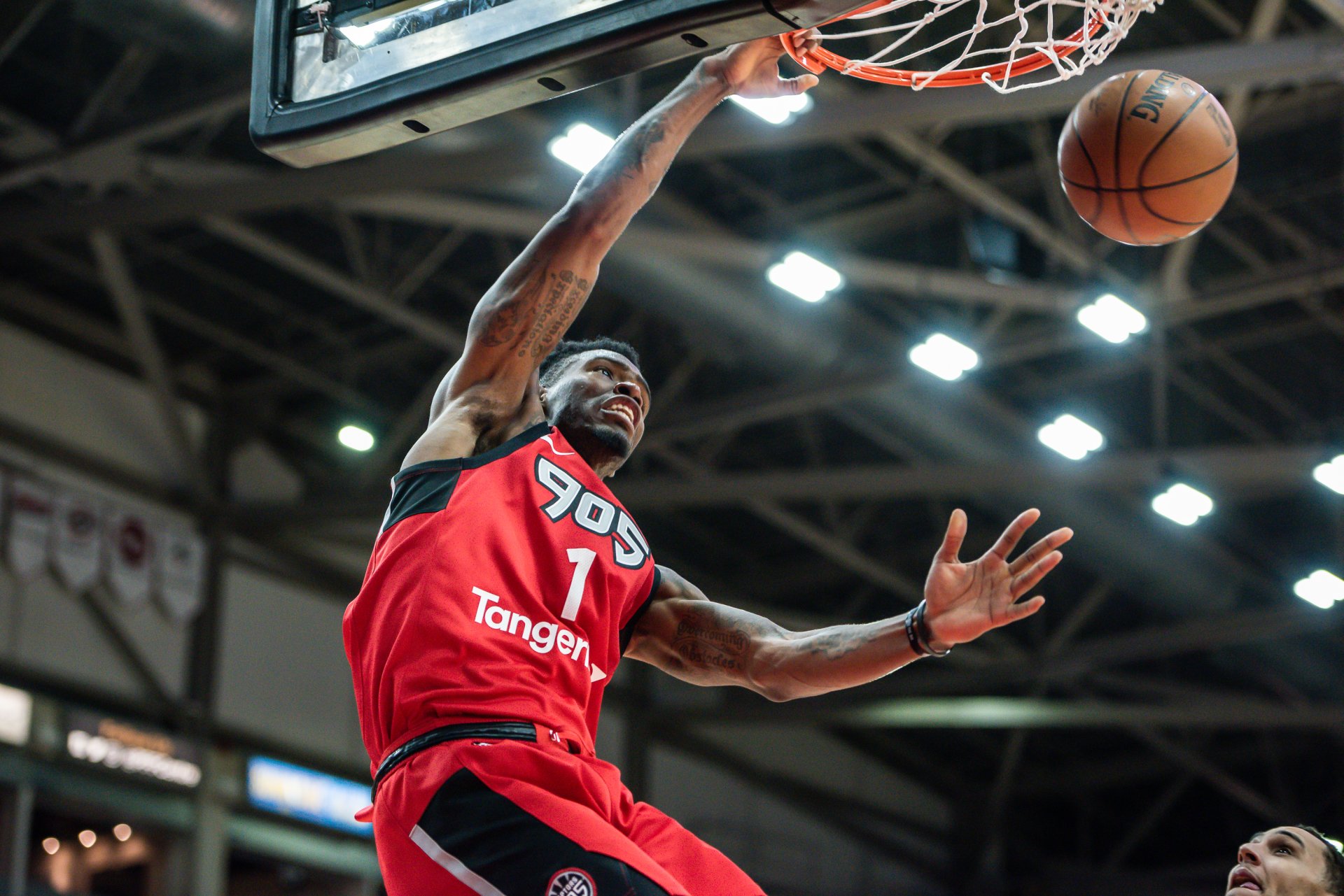 Brampton Honey Badgers