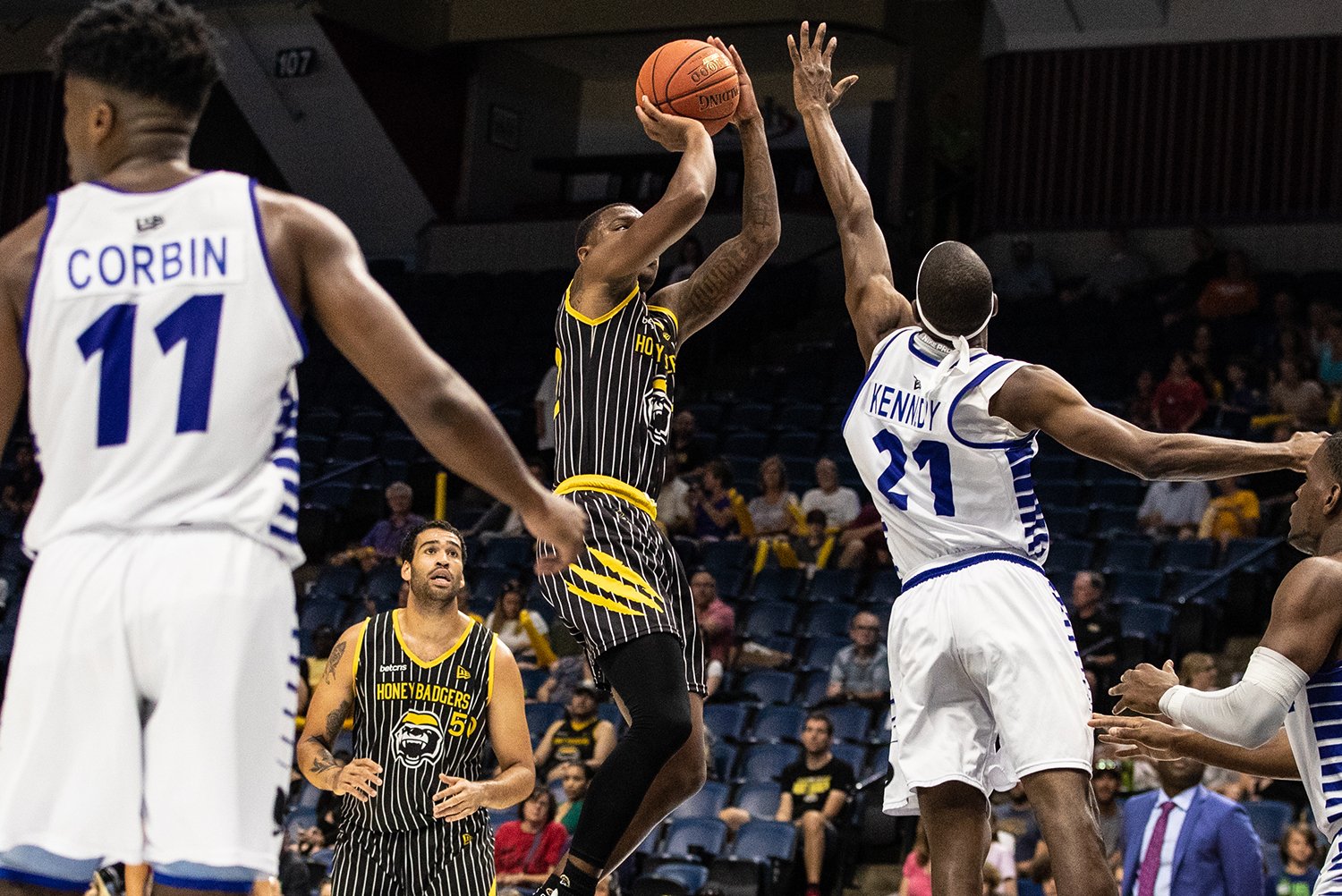 Brampton Honey Badgers