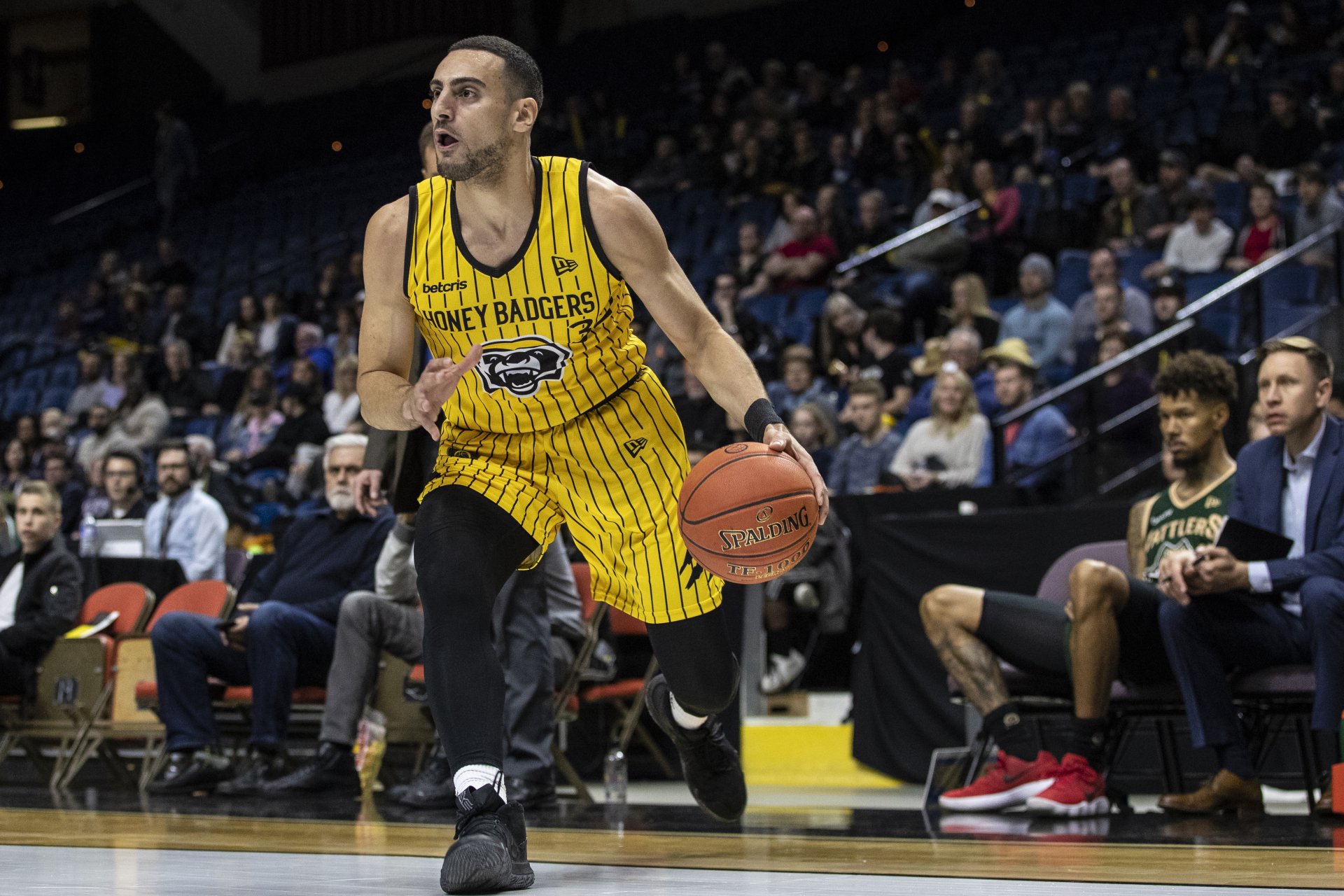 Brampton Honey Badgers