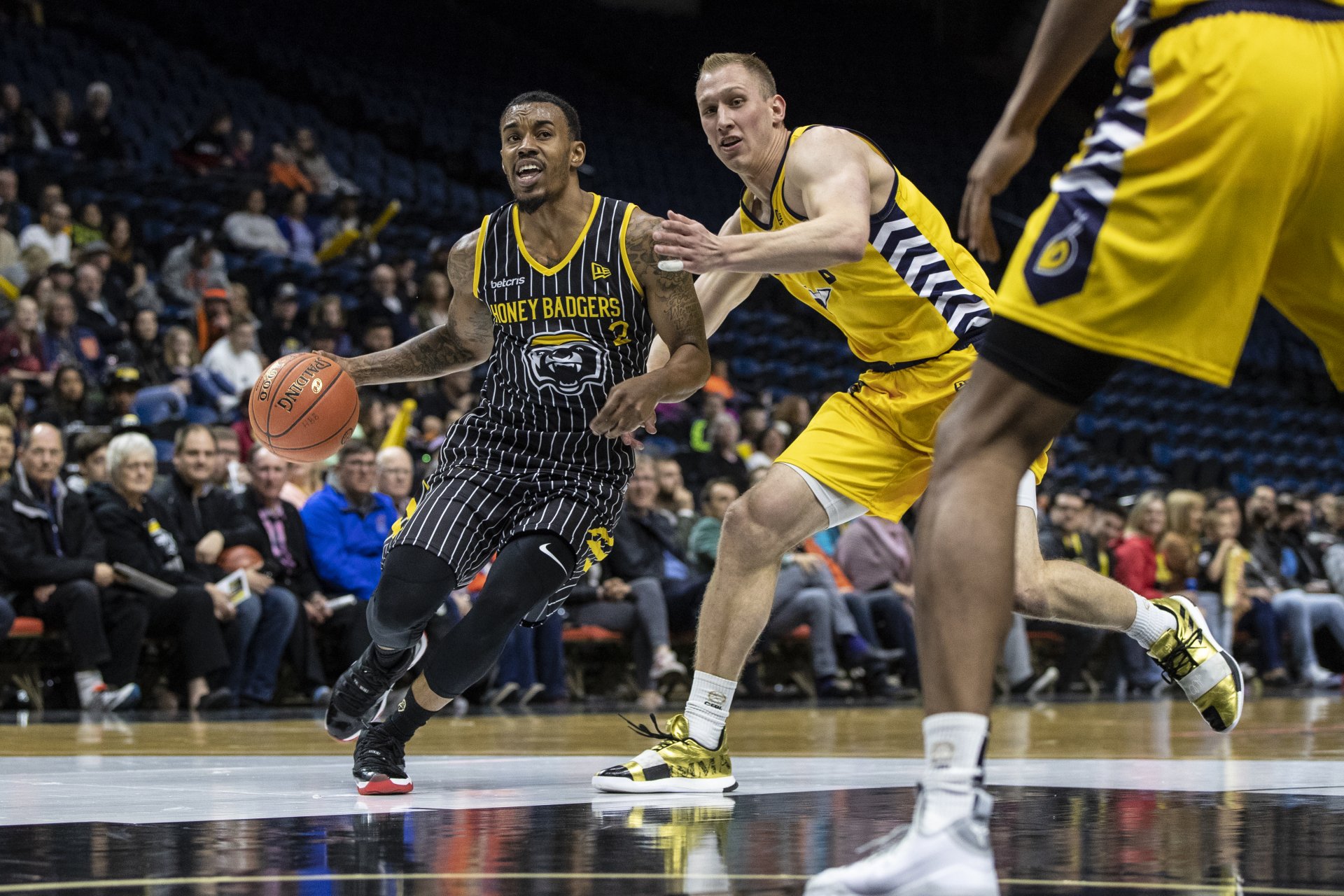 Brampton Honey Badgers