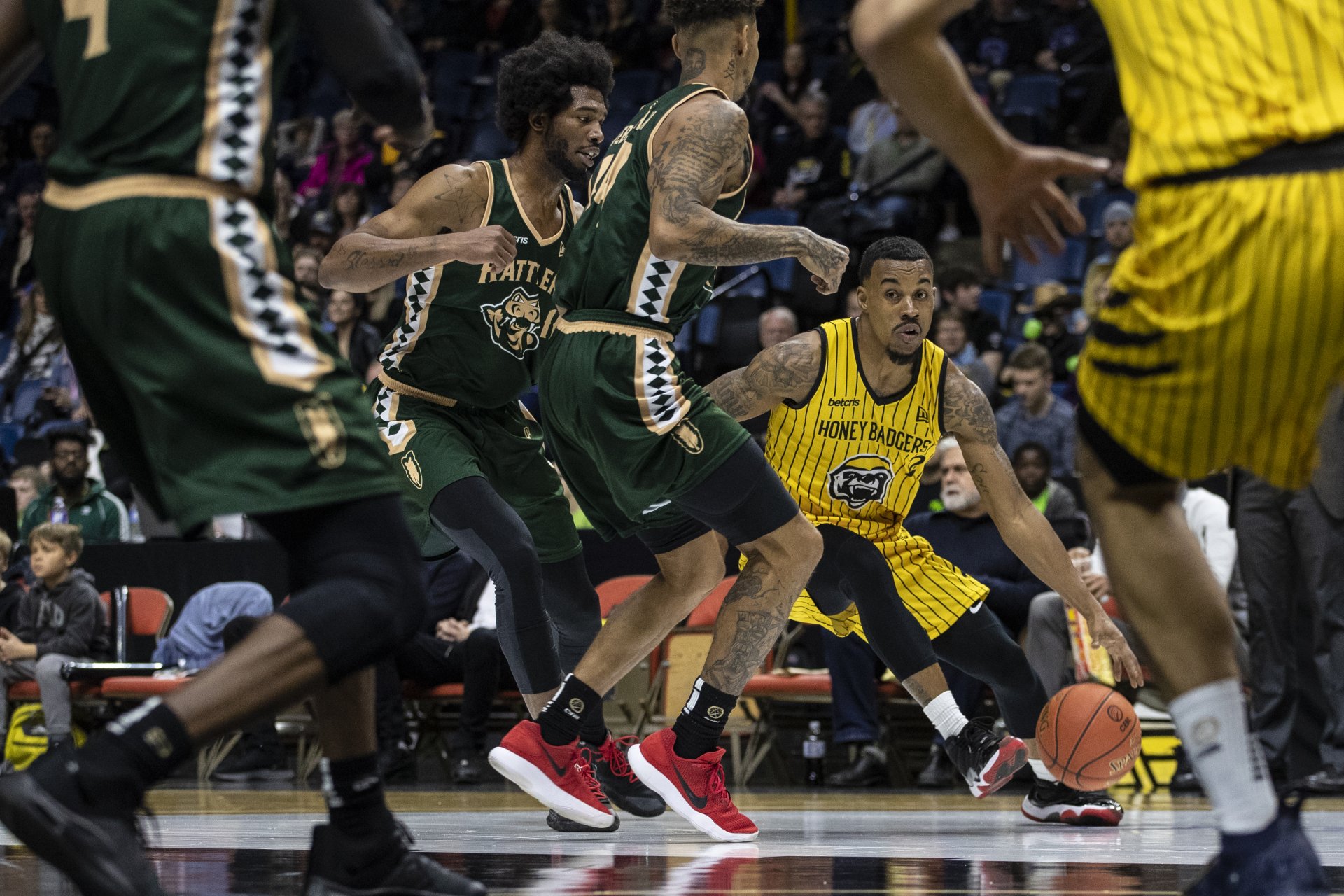 Brampton Honey Badgers