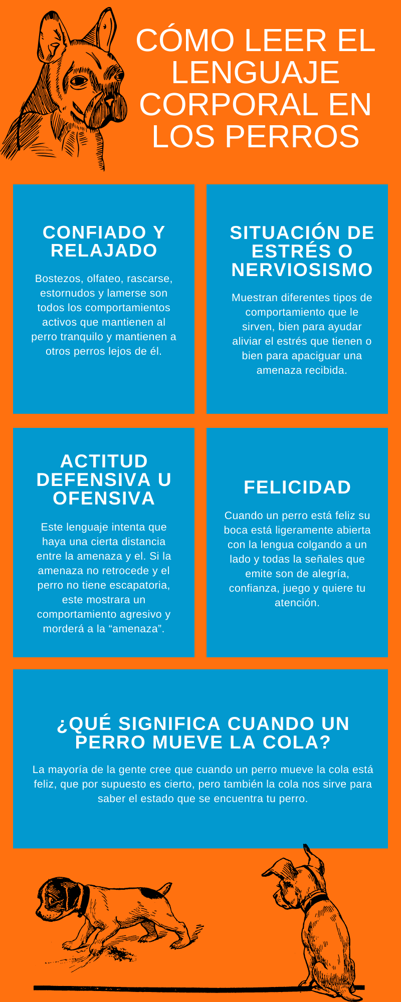 Cinco Claves para Aprender a Leer a los Perros