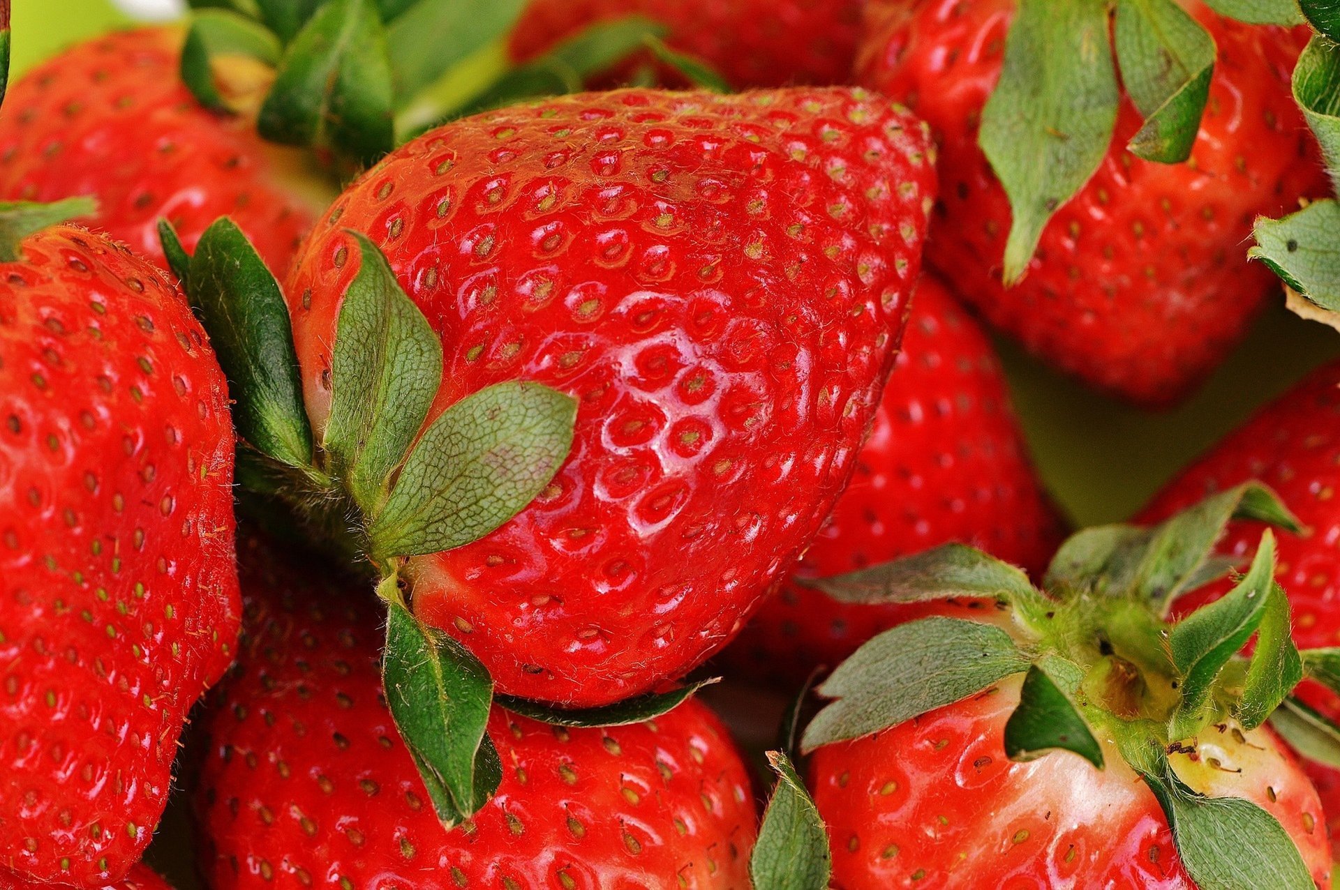 Strawberry Fun Facts strawberry-fun-facts