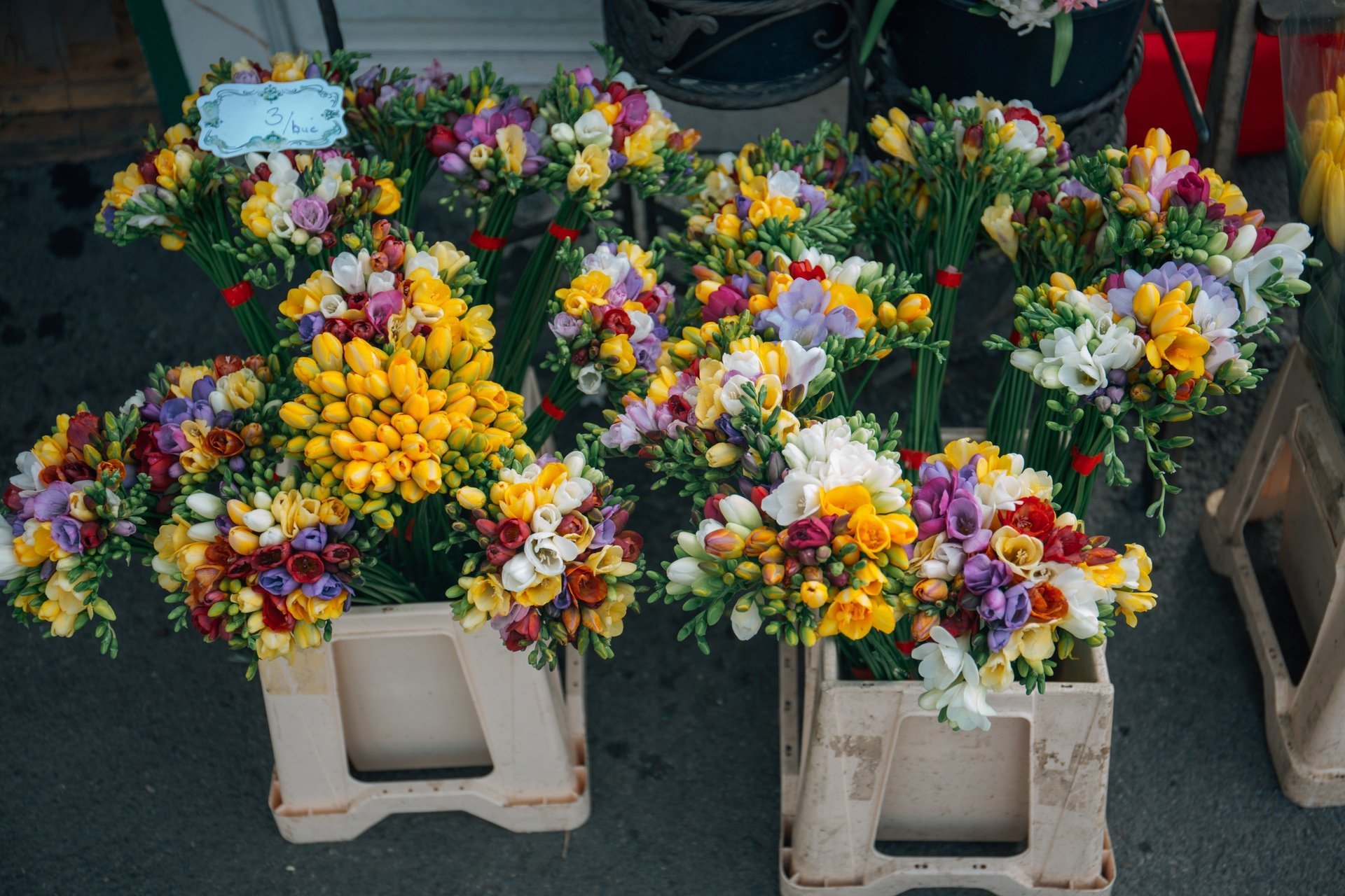 Florists' Haven: Exquisite Blooms & Floral Delights