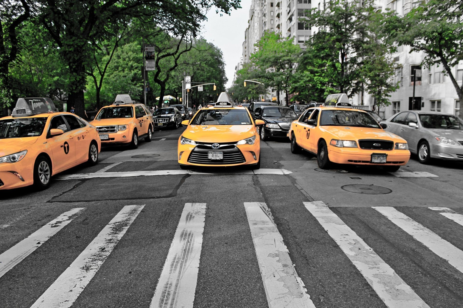 Taxi Cab Airport Shuttles & Limo Car Service