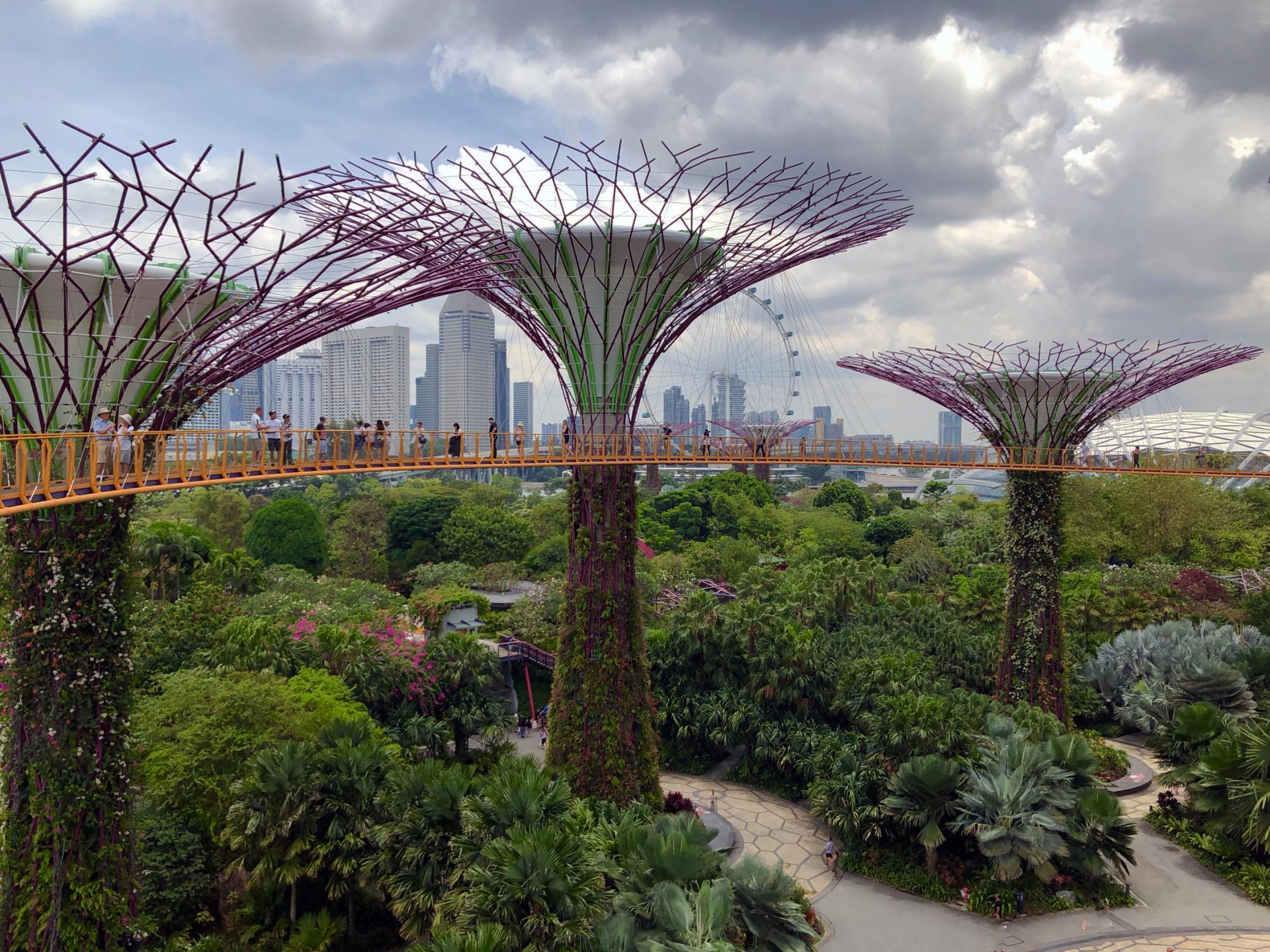 SUPERTREES, GARDENS BY THE BAY