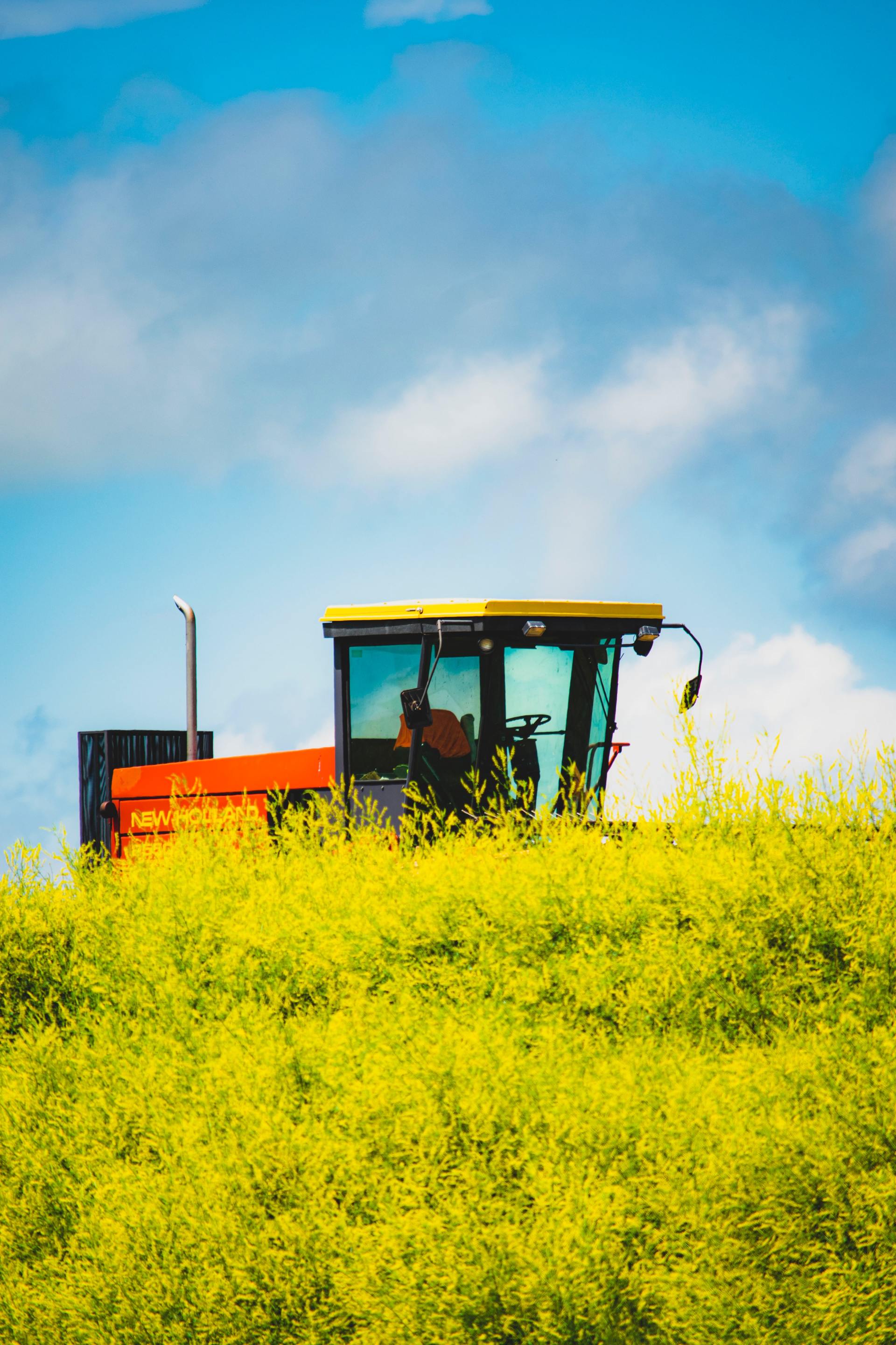 Spica | Agriculture | Trading Offshore