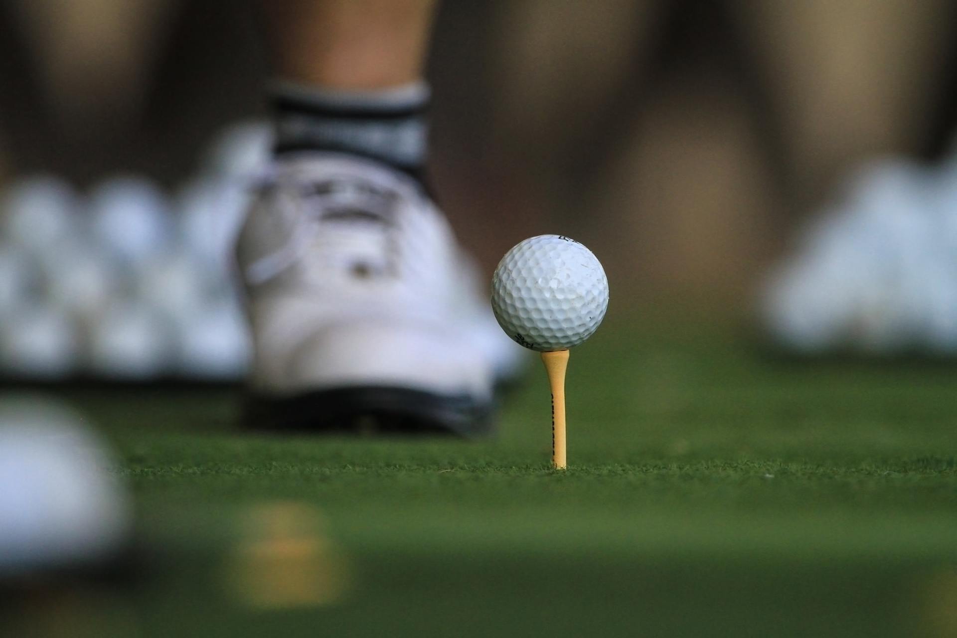 Golf Course in Casco, MI | Michigan Meadows Golf Course